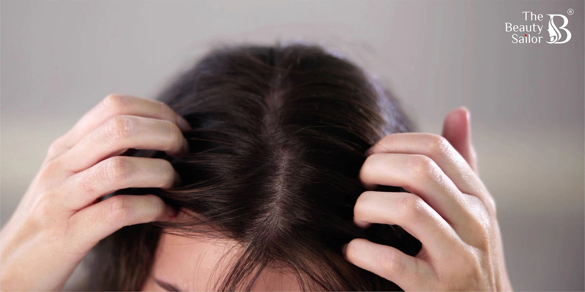 Scalp Care Guide for Itchy & Flaky Scalp:The Beauty Sailor